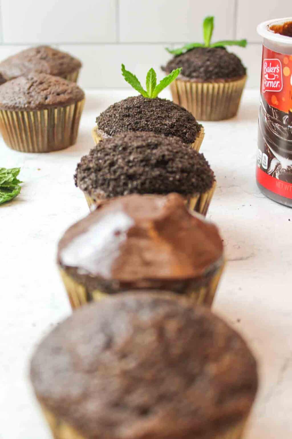 Earth Day Cupcakes - BeeyondCereal