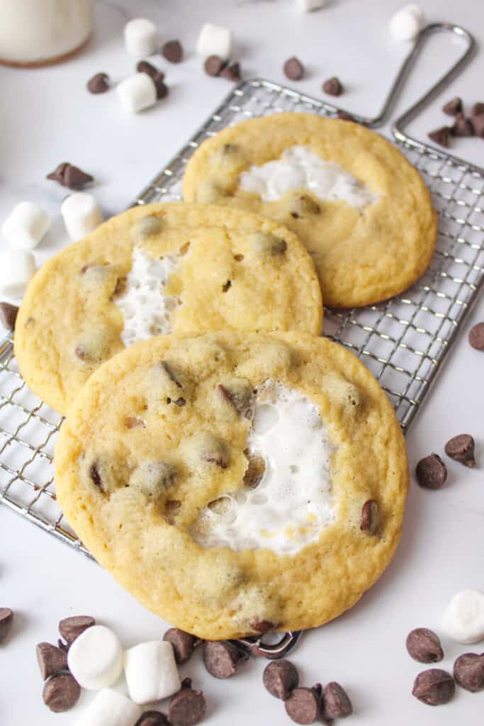 Chocolate Chip Marshmallow Cookies - BeeyondCereal