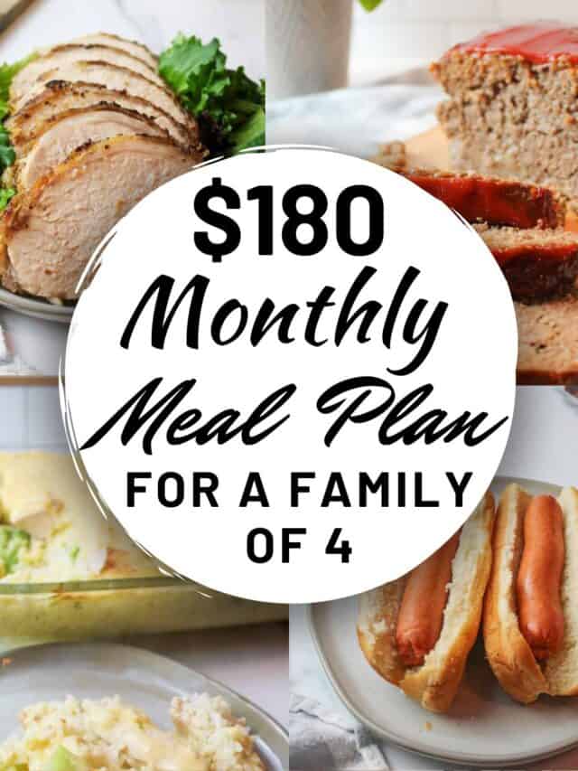 $140 Monthly Meal Plan for Family of 4 - BeeyondCereal