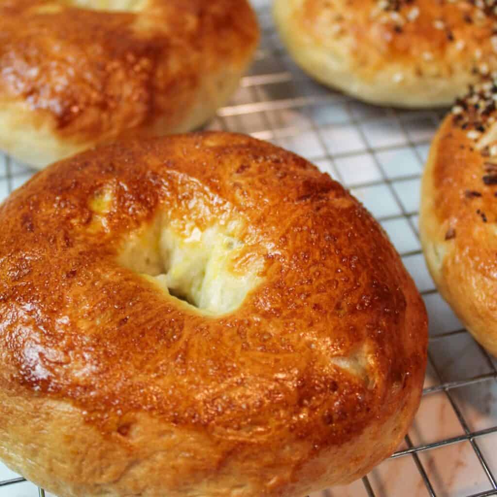 Bread Machine Bagels - BeeyondCereal