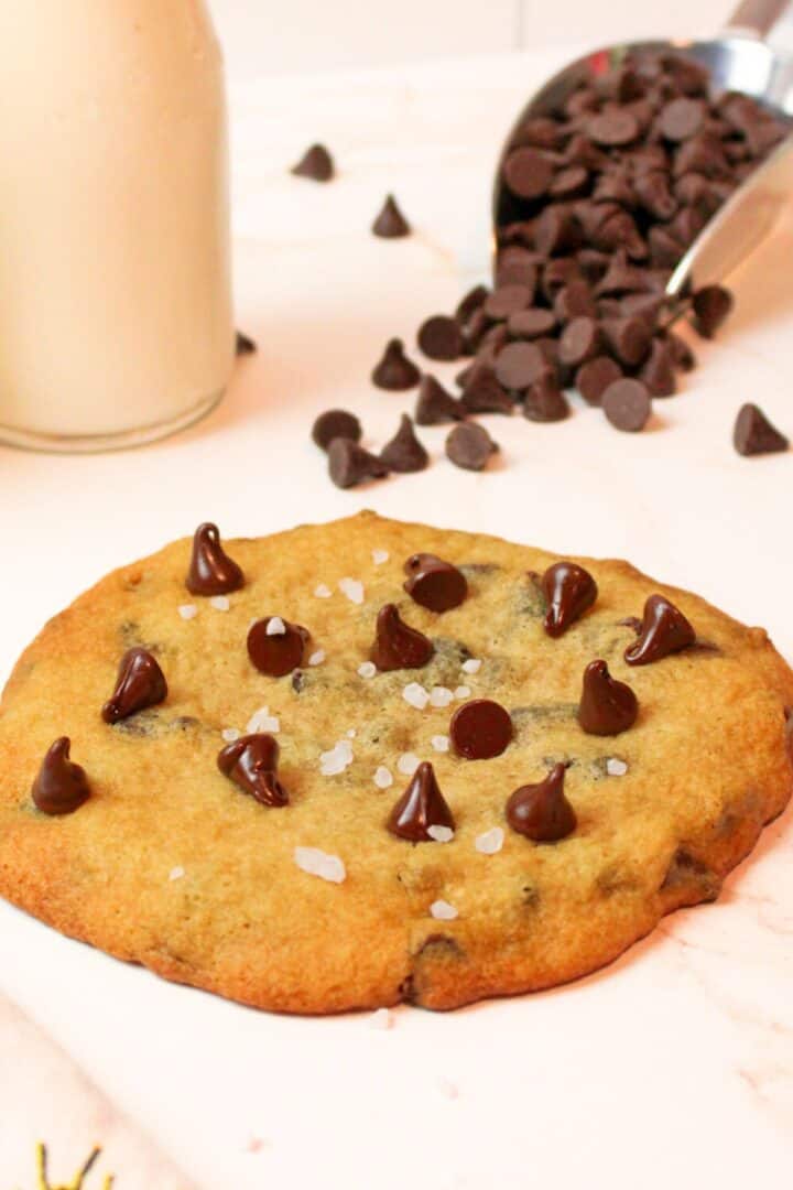 Single Chocolate Chip Cookie Recipe - BeeyondCereal