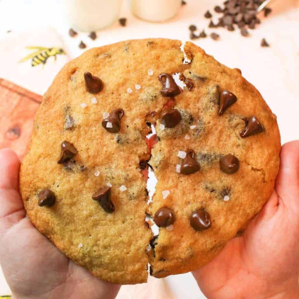 Single Chocolate Chip Cookie Recipe - BeeyondCereal