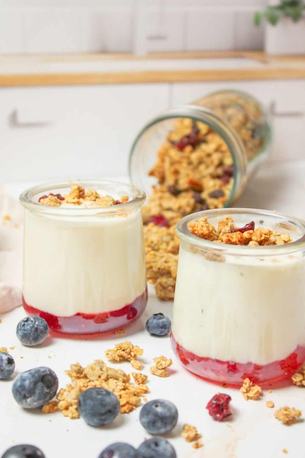 Instant Pot Yogurt - BeeyondCereal
